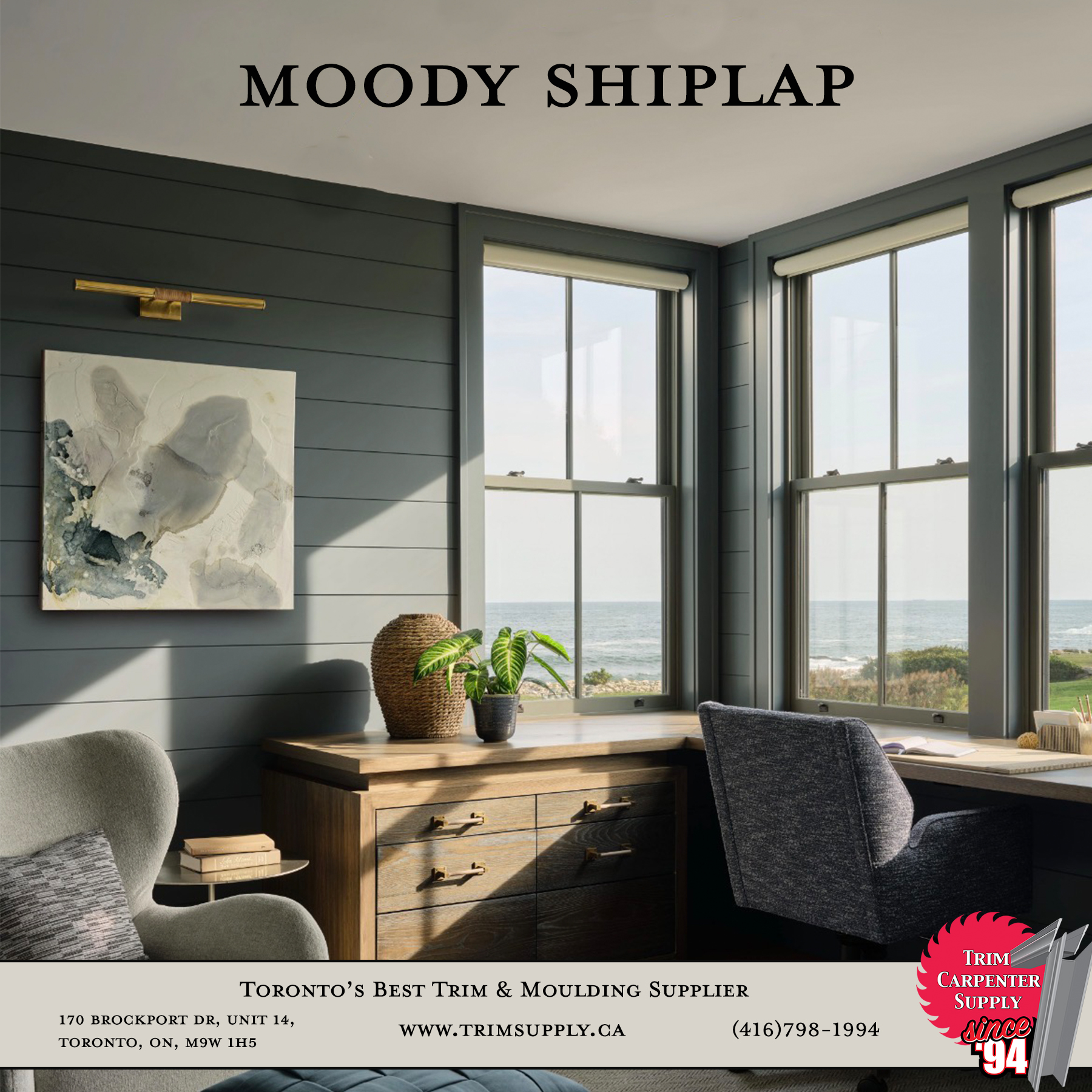 Moody Shiplap Walls for Homes
